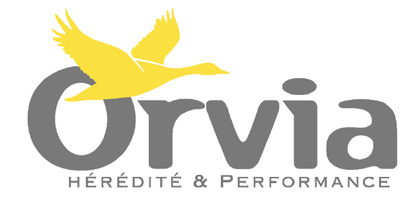 Orvia - Extranet